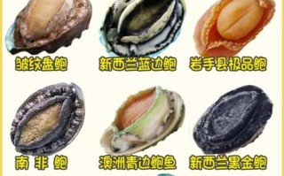 鲍鱼8到10头为什么最贵_8头10头鲍鱼价格差异原因