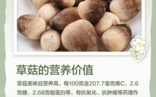 草菇种植配方_草菇培养料怎么配