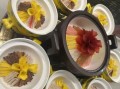 洛阳燕菜怎么做_正宗洛阳燕菜教学视频