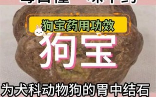 狗宝价格多少一克2019_狗宝多少钱一克2019