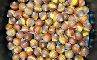 锥栗怎么吃_锥栗的吃法有哪些