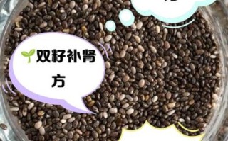 韭菜籽的功效与作用_韭菜籽怎么吃补肾壮阳