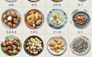 坚果有哪些种类_常见坚果名称大全