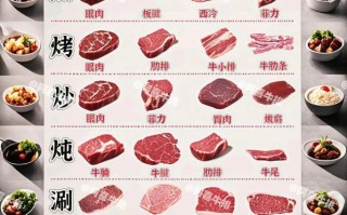 牛肉饺子用牛哪个部位的肉好吃_怎么选