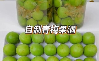 青梅酒怎么做_青梅酒用什么酒泡最好