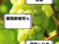 葡萄的营养价值_吃葡萄有什么好处