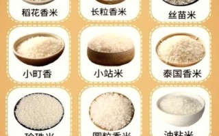 粳米和大米的区别_粳米是哪种大米