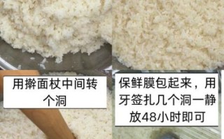 醪糟的做法_糯米怎么选