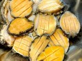 鲍鱼怎么清洗_鲍鱼多少钱一斤