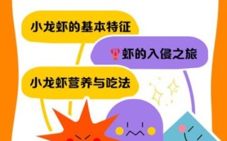 小龙虾怎么养_小龙虾养殖技术要点