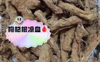 枸杞根煲汤有什么功效_枸杞根煲汤的做法步骤