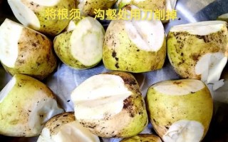 家常芥菜怎么腌制_芥菜腌制多久可以吃