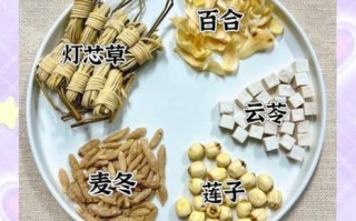 养生汤大全_哪些汤最适合四季调养