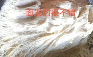 酵母粉发面做包子怎么发面_酵母粉发包子面要多久