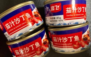 番茄沙丁鱼罐头怎么做_自制罐头能放多久