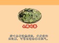 金桂花茶的功效与作用_金桂花茶适合什么人喝