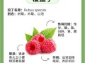 覆盆子禁忌人群有哪些_孕妇能吃覆盆子吗