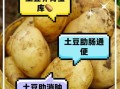 土豆能治胃病吗_土豆降血压是真的吗
