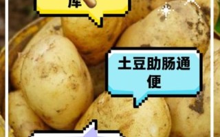 土豆能治胃病吗_土豆降血压是真的吗