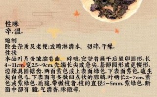 紫苏治什么病效果最好_紫苏叶怎么吃治感冒最快