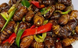 桑蚕蛹怎么做好吃_桑蚕蛹的家常做法