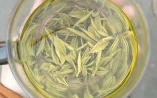 毛峰多少钱一斤_毛峰价格表2024