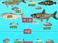 钓白鲢花鲢用什么饵料_钓白鲢花鲢怎么调漂