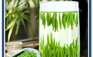 雀舌茶多少钱一斤_雀舌茶价格为什么差别大