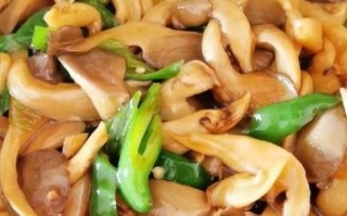 蘑菇的做法大全素_如何炒蘑菇才好吃 蘑菇的做法大全素_如何炒蘑菇才好吃