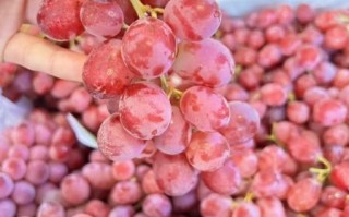 无籽红提吃多了会怎样_无籽红提一天吃多少合适