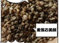 麦饭石的功效与作用_麦饭石泡水有什么好处