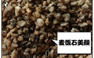 麦饭石的功效与作用_麦饭石泡水有什么好处