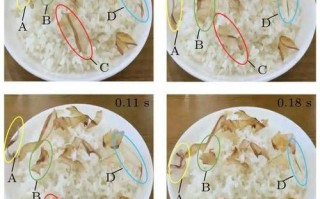 章鱼丸子上的木屑是什么_章鱼烧表面碎屑能吃吗