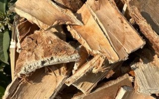 榆树皮熬水治皮肤病吗_榆树皮熬水怎么用