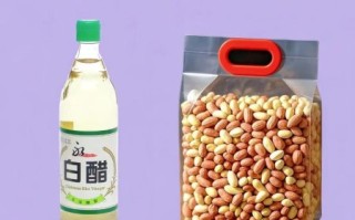 醋泡花生能减肥吗_醋泡花生减肥正确吃法