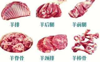 熬羊汤用什么骨头最好_羊骨部位怎么选