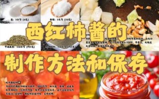 西红柿酱怎么做_西红柿酱的家常做法大全