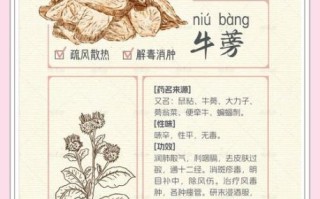 新鲜牛蒡叶怎么吃_牛蒡叶家常做法大全