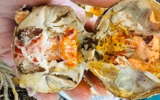 吃螃蟹过敏的症状_多久能好