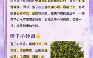 莲子心泡水喝减肥吗_莲子心茶减肥原理