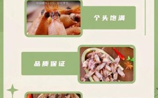 海兔乌贼鱿鱼的区别_怎么区分海兔乌贼鱿鱼