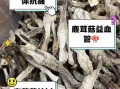 鹿茸菇的功效与作用_鹿茸菇怎么吃效果最好