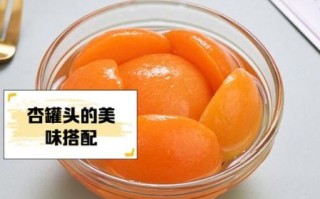 杏罐头怎么做好吃_杏罐头家庭做法
