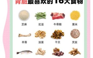 补肾药膳食谱大全_肾虚吃什么好