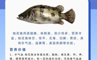 桂花鱼的营养价值_桂花鱼的禁忌有哪些