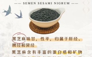 白芝麻怎么吃最好_白芝麻一天吃多少合适