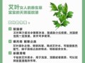 艾草的药用功效有哪些_艾草怎么用效果最好