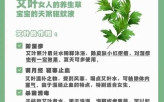 艾草的药用功效有哪些_艾草怎么用效果最好 艾草的药用功效有哪些_艾草怎么用效果最好
