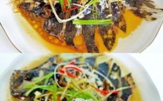 多宝鱼蒸几分钟_多宝鱼蒸多久最佳