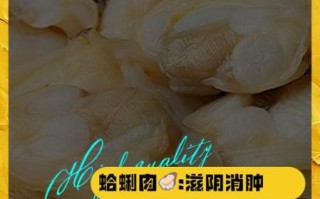 蛤蜊肉的功效与作用_蛤蜊肉怎么吃最营养